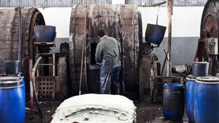 What is Bovine Leather: A Detailed Explanation - Leather News